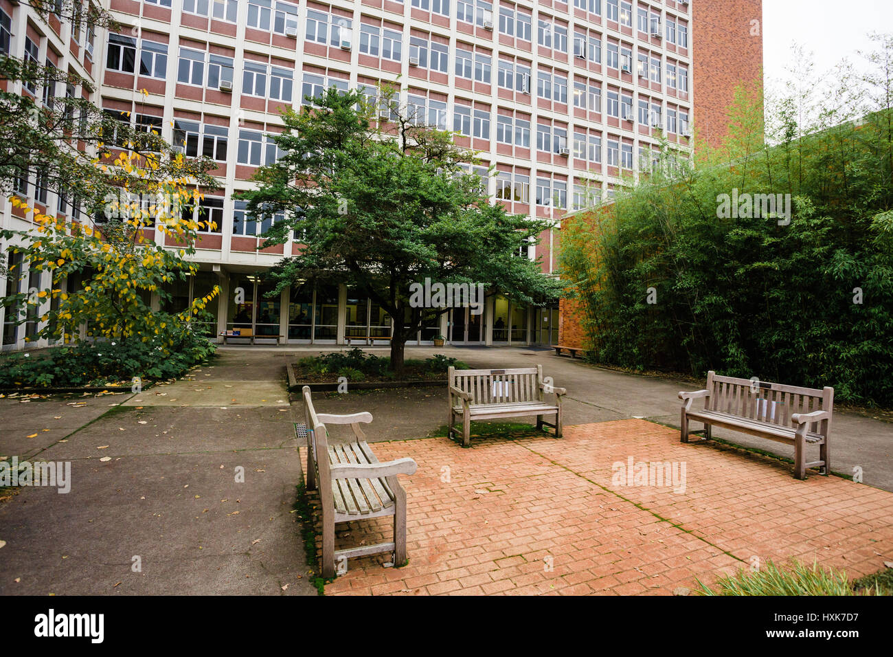 PLC Building in the Fall or Autumn on the University of Oregon campus ...