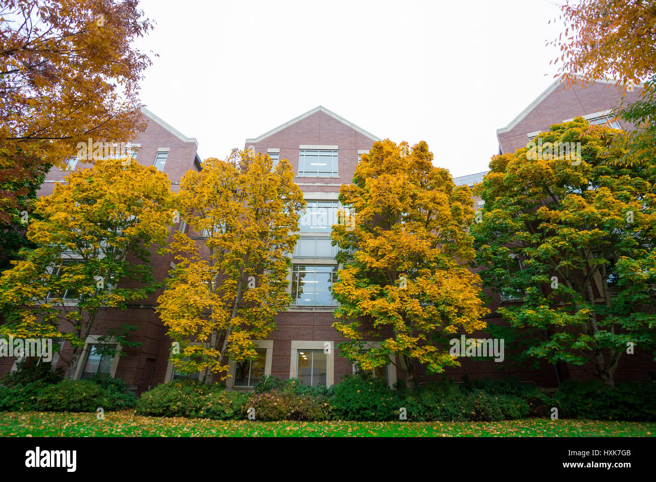 University of Oregon with Fall foliage as the leaves on the trees ...