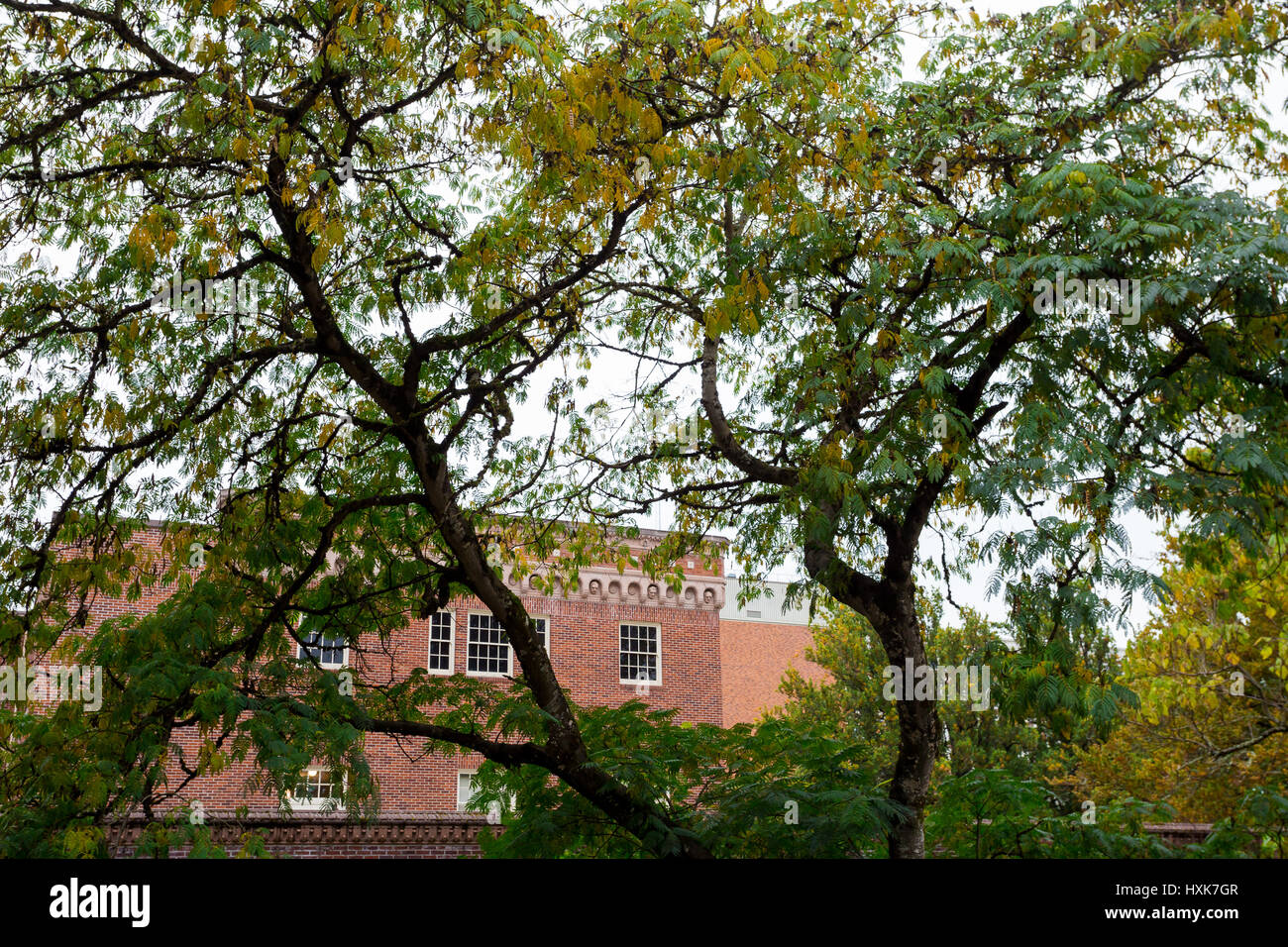 University of Oregon with Fall foliage as the leaves on the trees ...