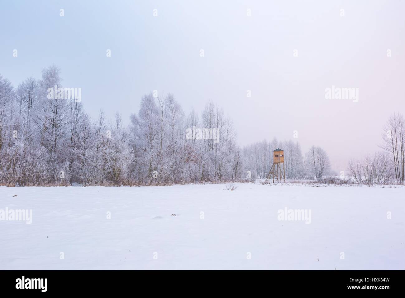 Winter landscape with trees and field. Natural polish landscape with ...