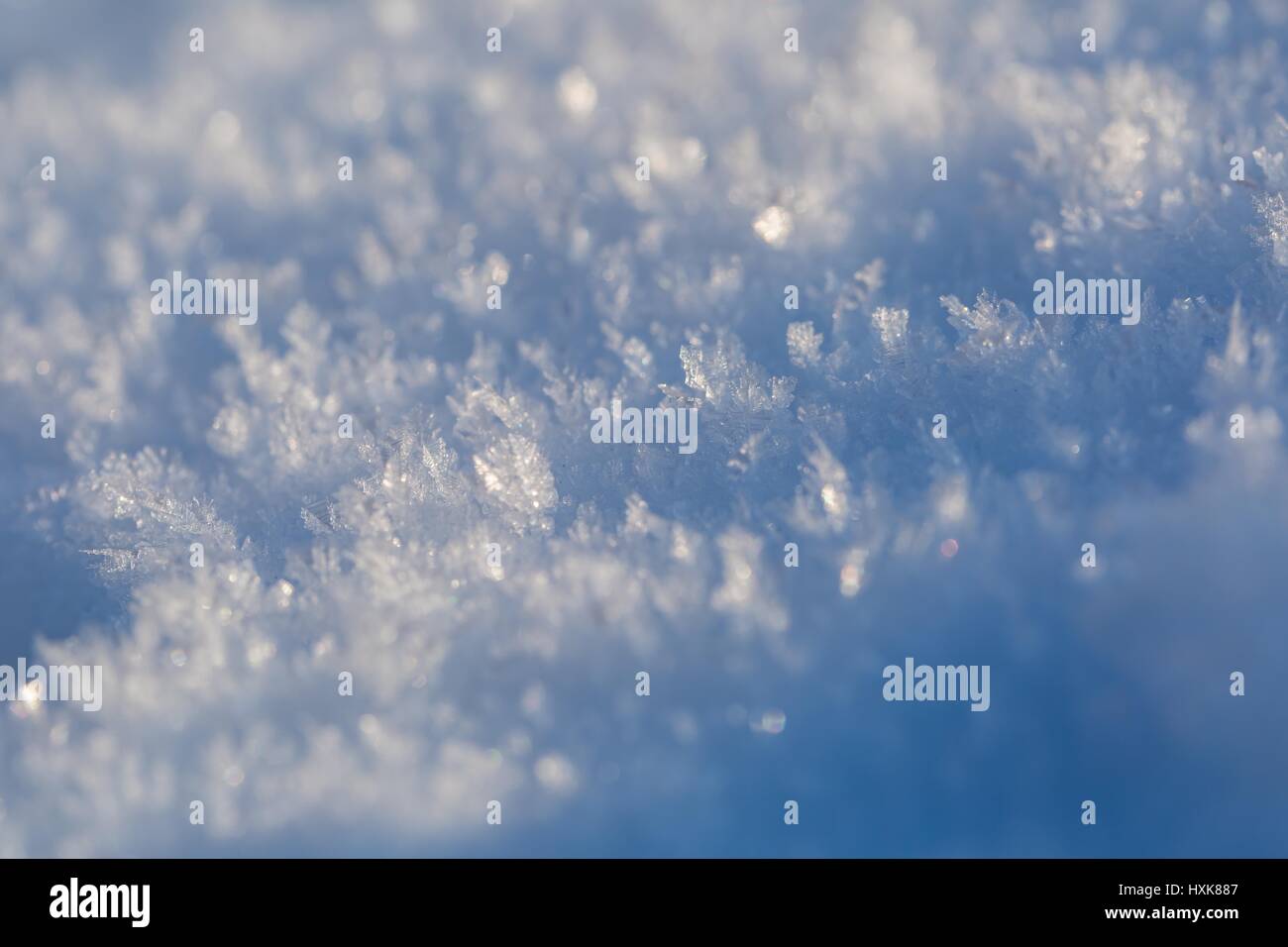 Snow crystals in big close up. Natural snow macro Stock Photo - Alamy