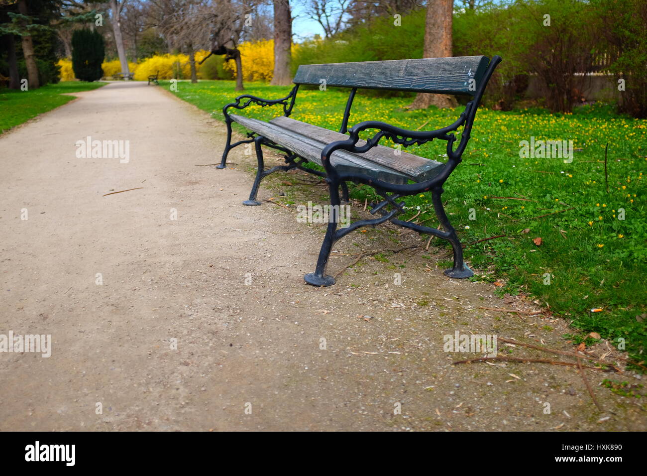 Empty bench trees park bench hi-res stock photography and images - Alamy