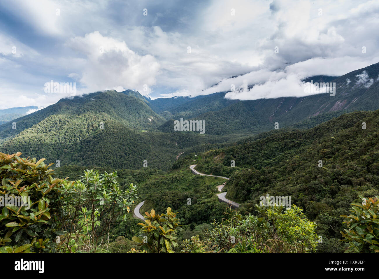 Andes Mountains and cloud forest in Northern Peru Stock Photo - Alamy