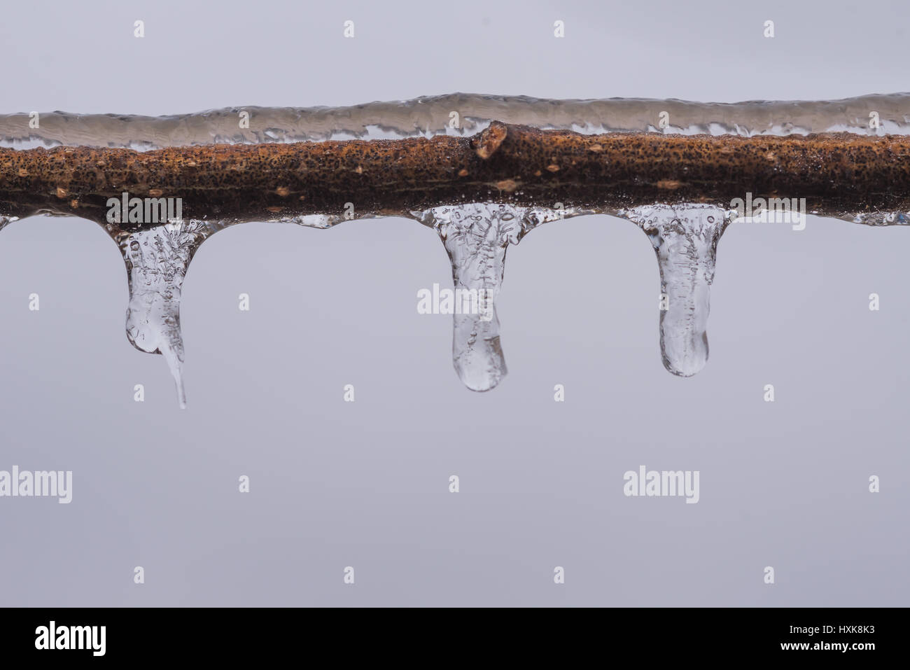 Drops dripping hi-res stock photography and images - Alamy