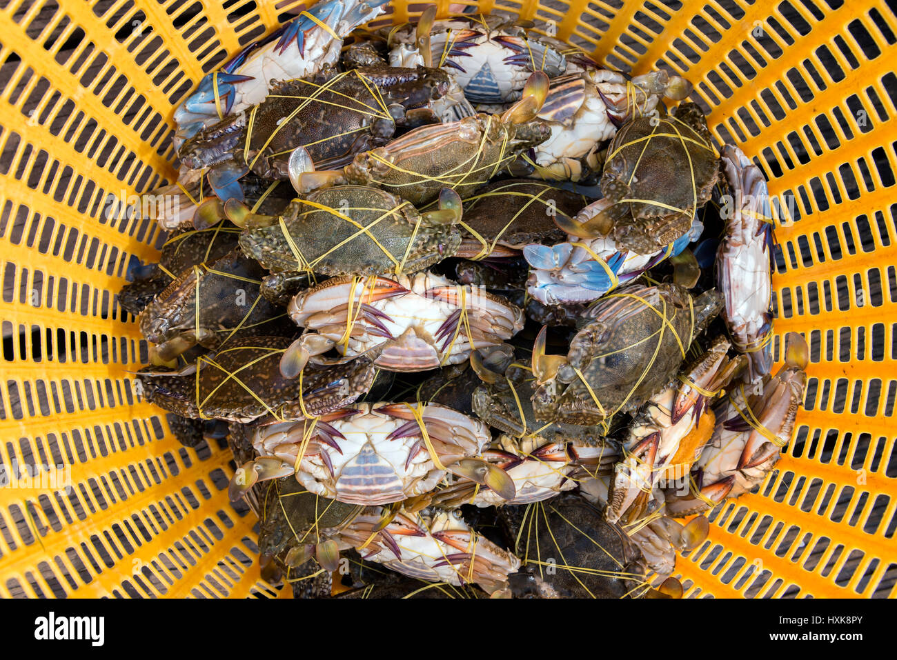 Fresh fish seafood crustaceans hi-res stock photography and images - Alamy