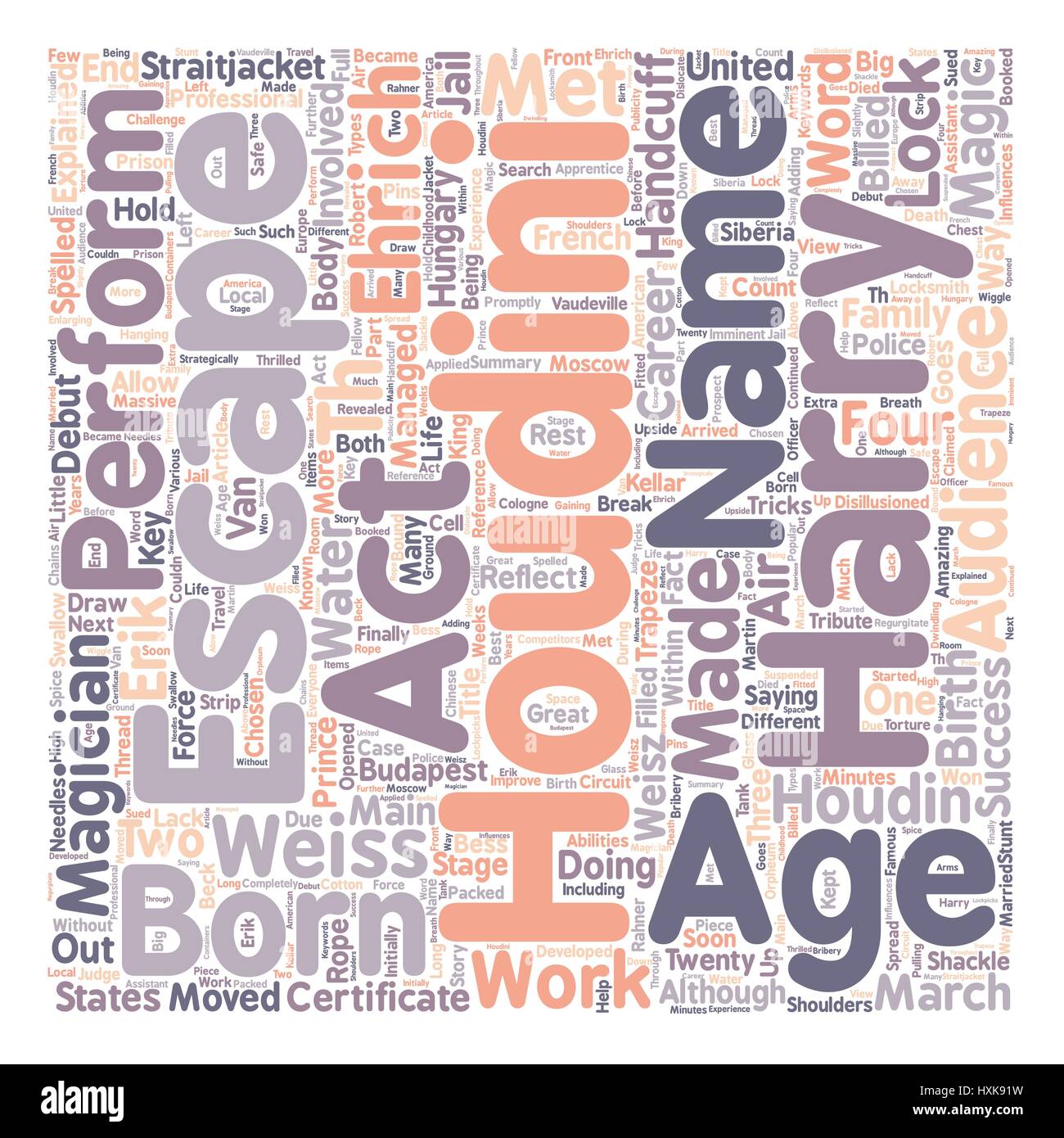 Birth Certificate Stock Vector Images - Alamy