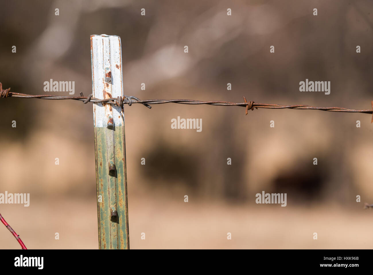 Rusty fence post with barbed wire Stock Photo - Alamy