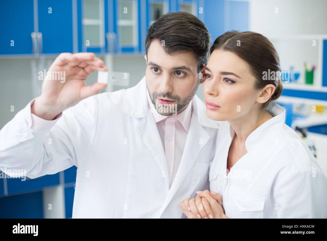 portrait of concentrated scientists looking at microscope slide in lab ...