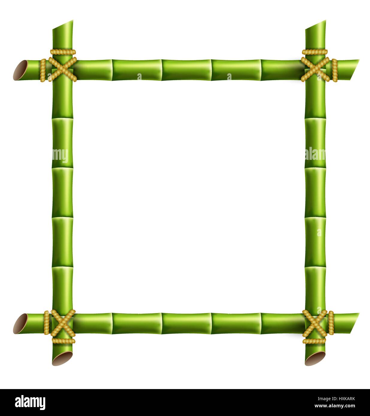Green bamboo frame isolated on white Stock Vector Image & Art - Alamy