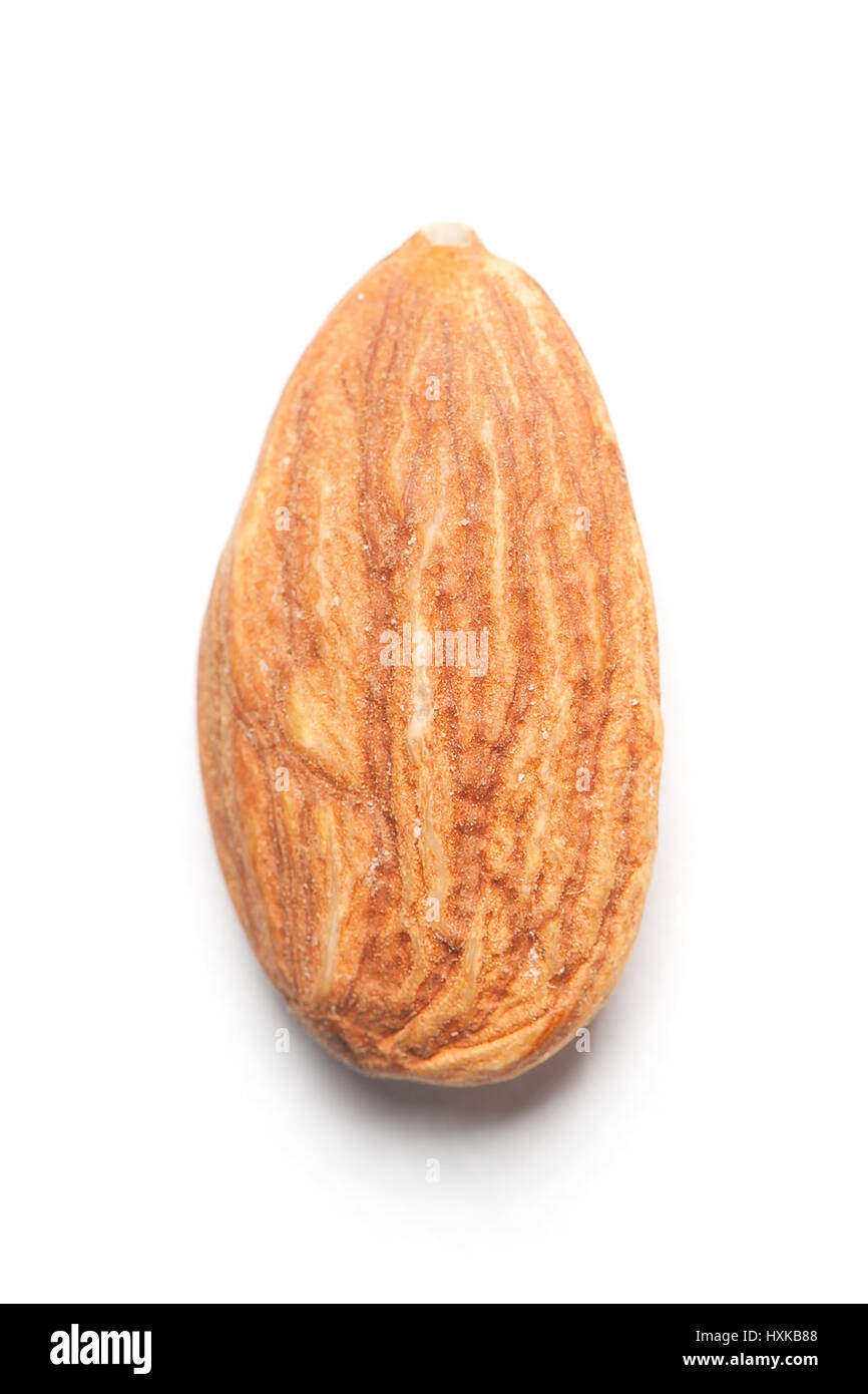 Single almond isolated on white background Stock Photo - Alamy