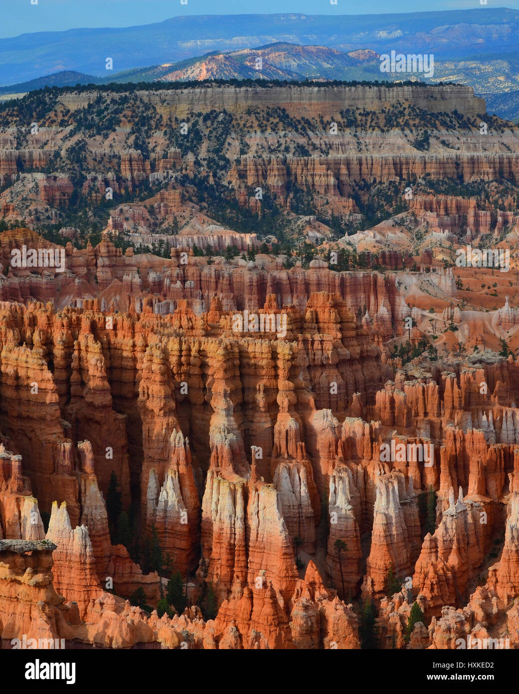 Bryce Canyon National Park Utah Stock Photo - Alamy