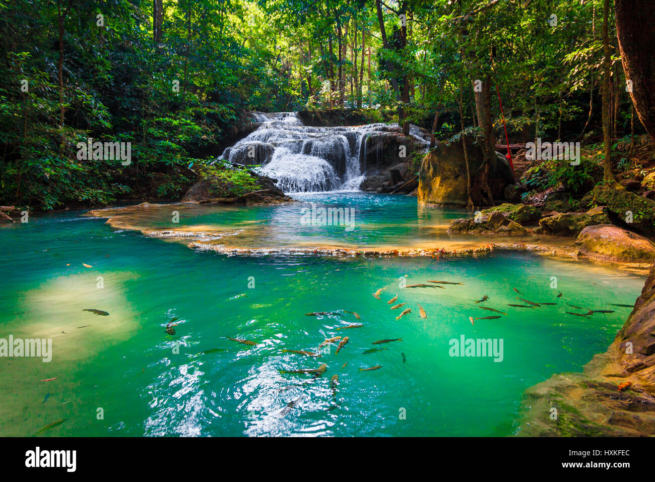 Waterfall. Beautiful view of waterfall landscape Stock Photo - Alamy