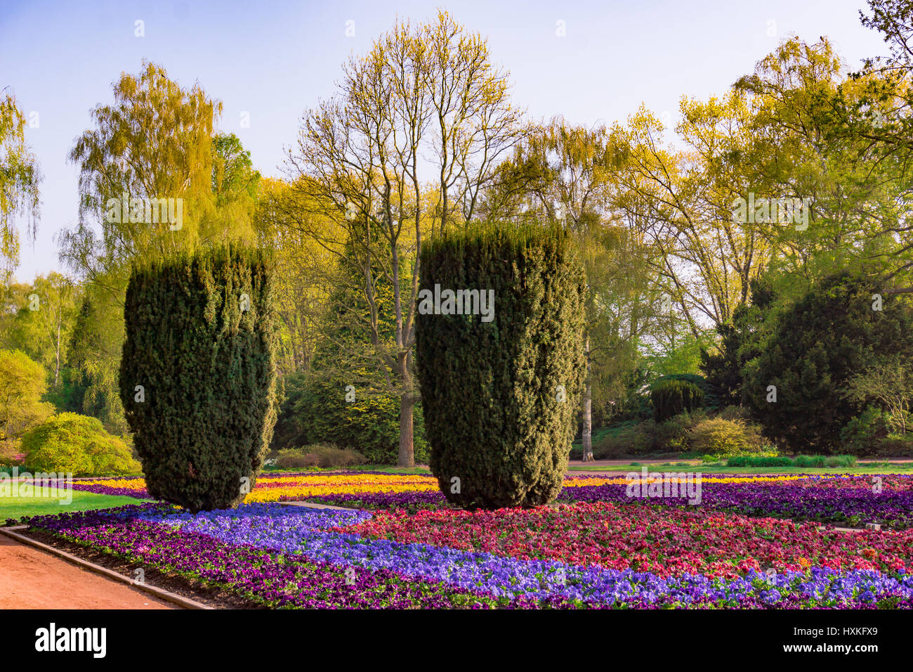 Nice park in the city with trees, Spring flowers and grass Stock Photo ...