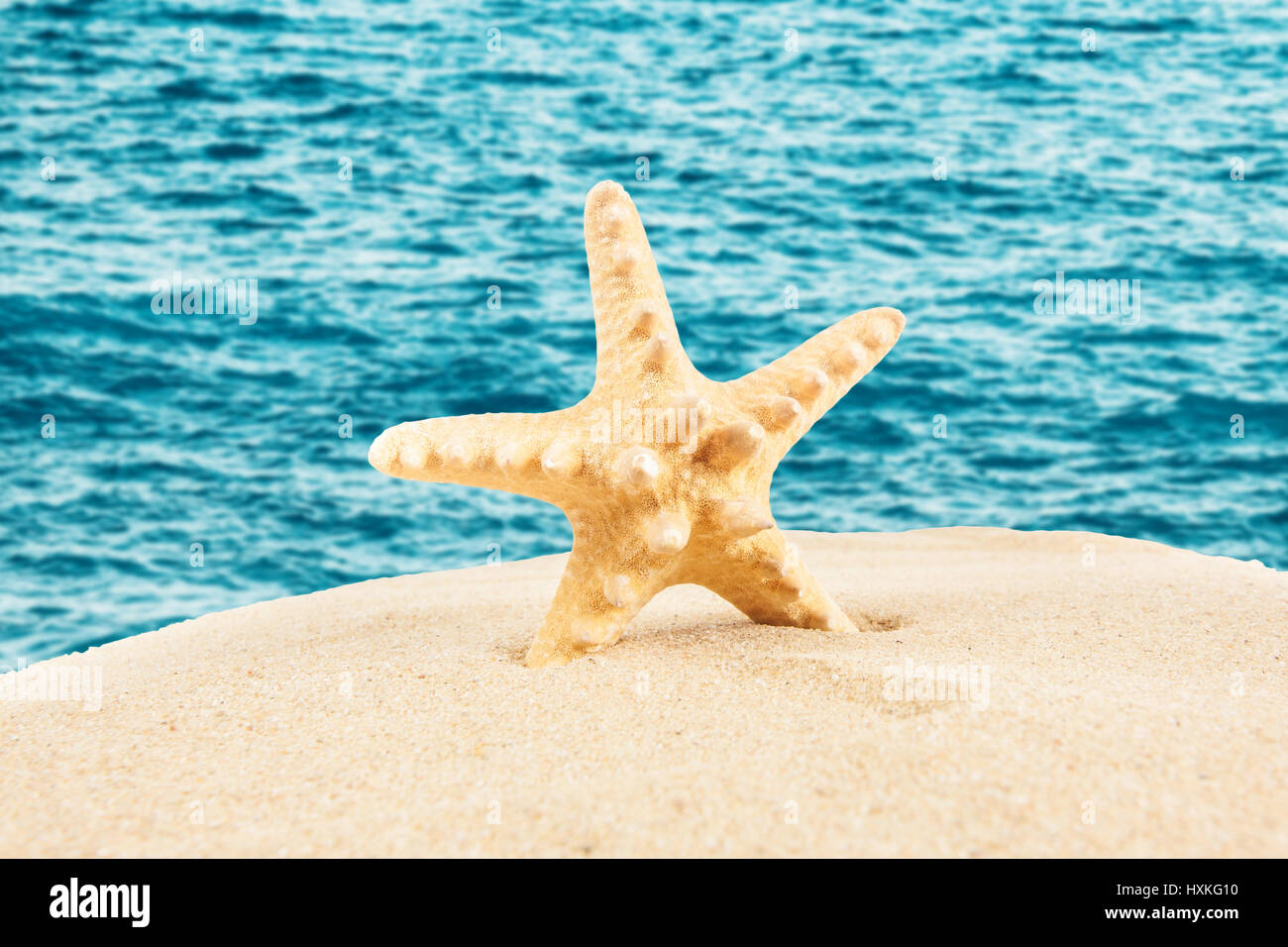 Starfish on sandy beach, travel concept. Summer background. Summer ...