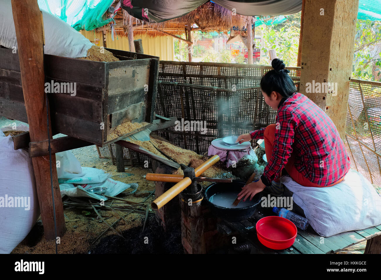 Making rice paper Stock Photo - Alamy