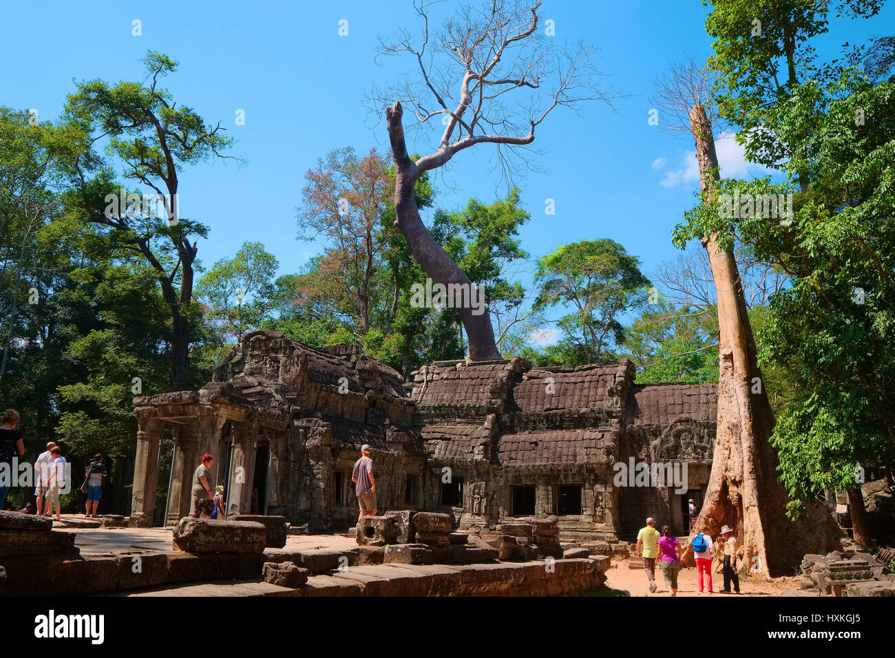 Ta Prohm temple Stock Photo - Alamy