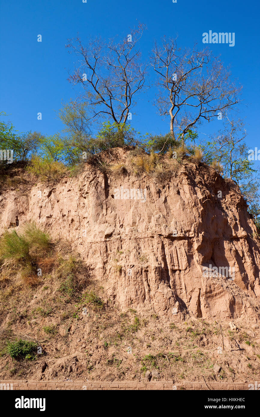 sandy rock face with vegetation and trees in morni hills chandigarh ...
