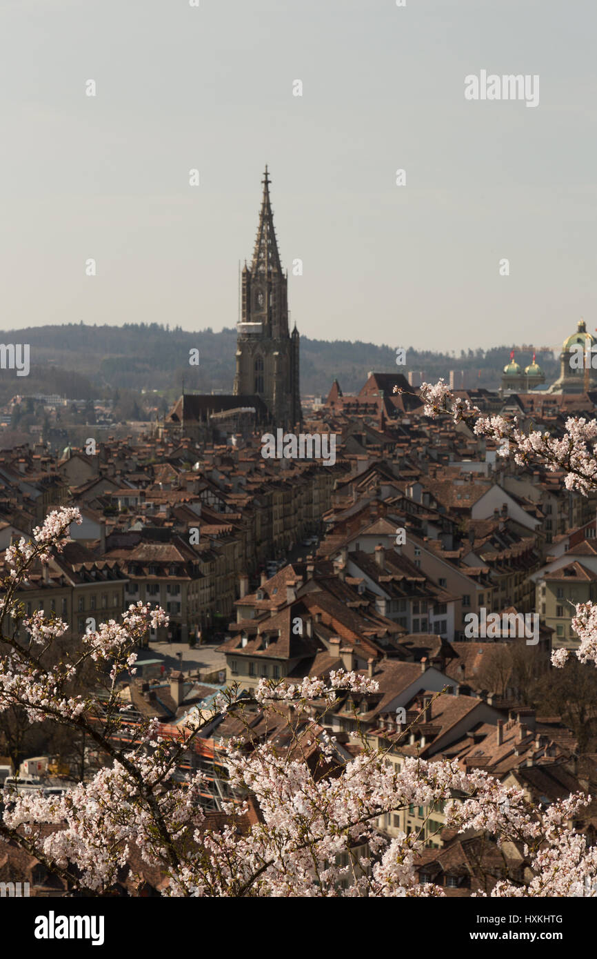 Rose garden rosengarten bern bern hi-res stock photography and images ...