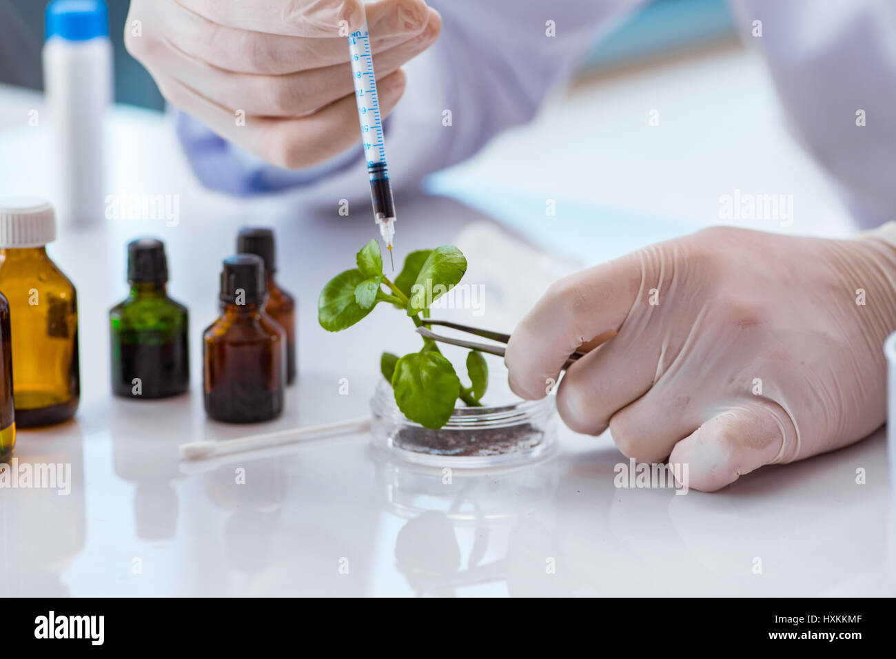 Biotechnology scientist working in the lab Stock Photo - Alamy