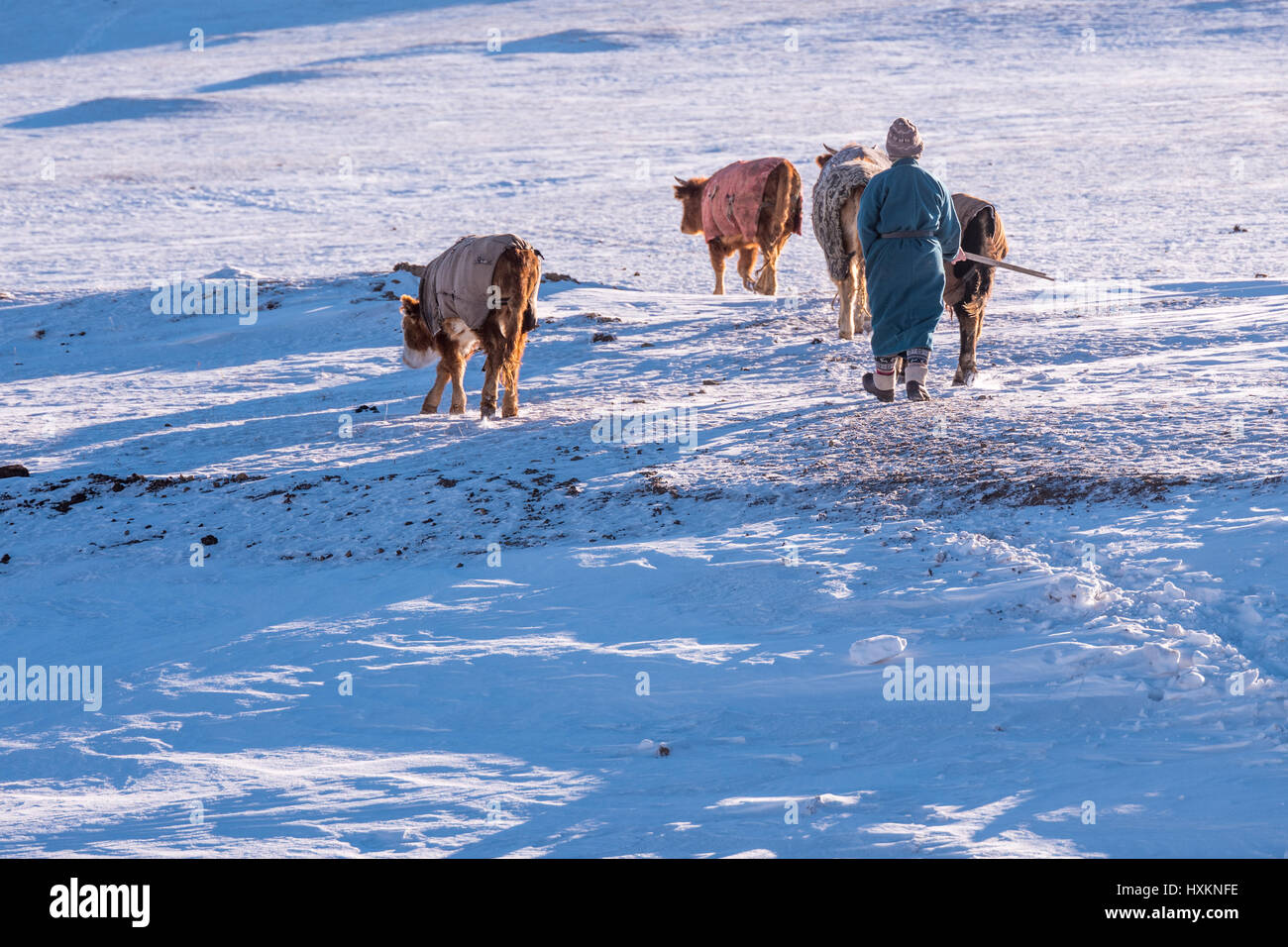 Gobi Desert Winter Stock Photos & Gobi Desert Winter Stock Images - Alamy