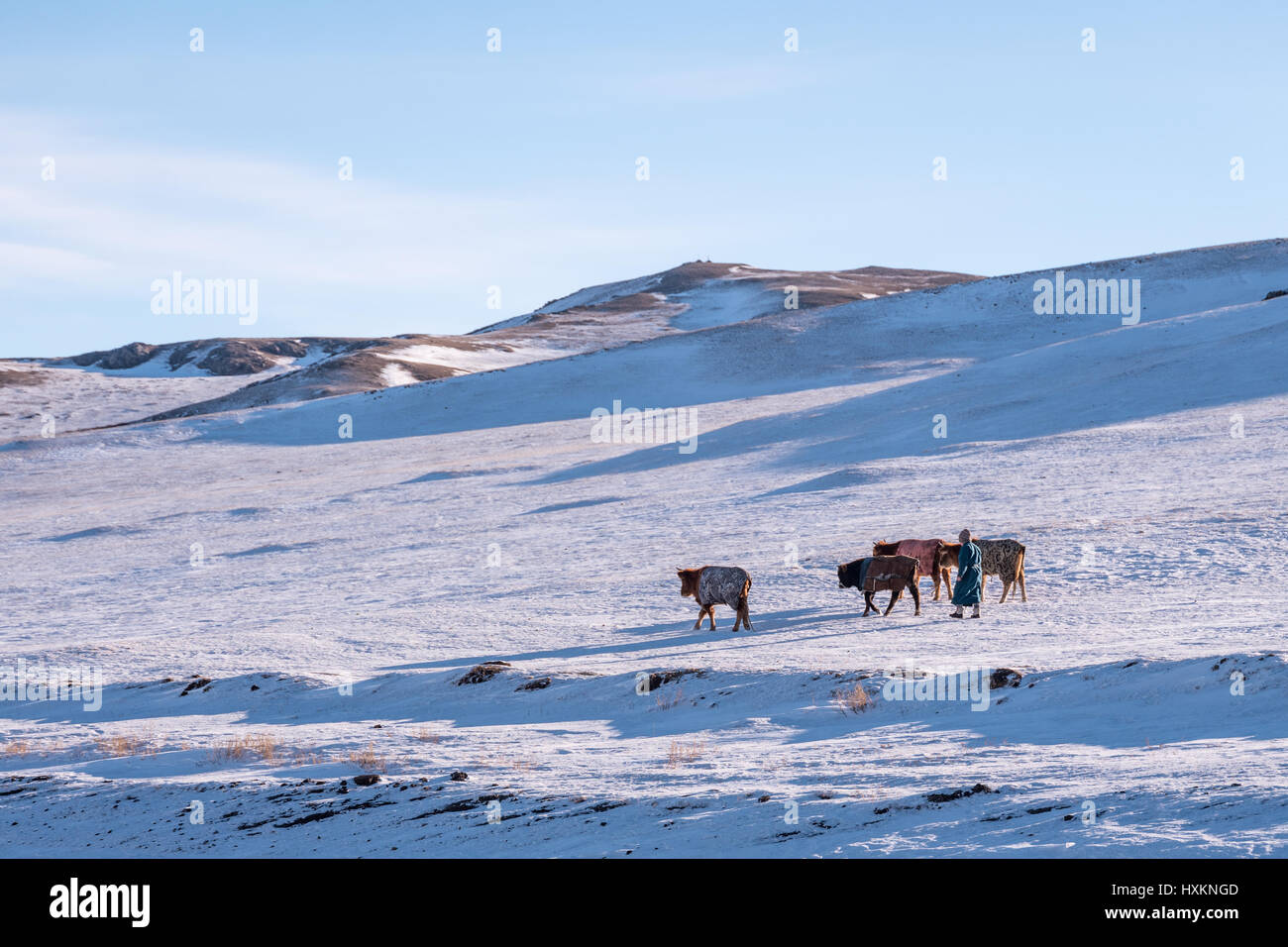Gobi Desert In Winter