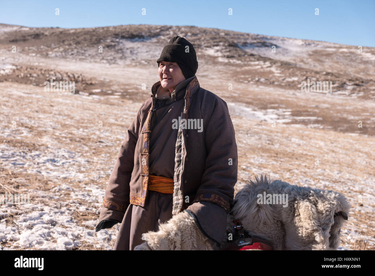 Mongolian sheep and goat herders in the Gobi Desert manage their flocks ...