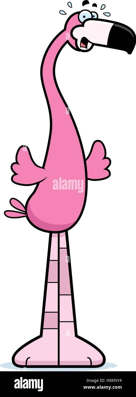A cartoon illustration of a flamingo with a scared expression Stock ...