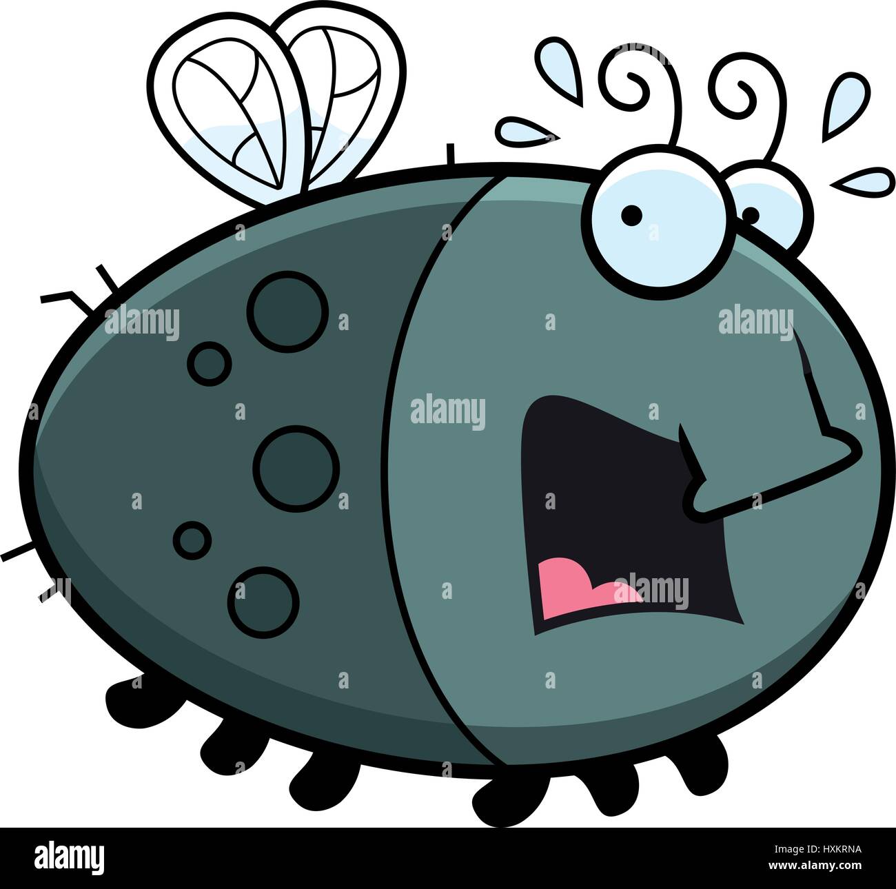 A cartoon illustration of a fly looking scared Stock Vector Image & Art ...