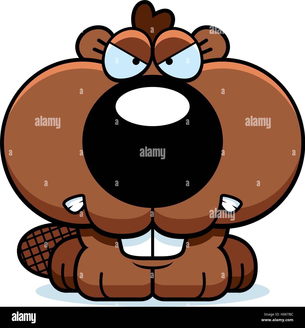 A cartoon beaver with an angry expression Stock Vector Image & Art - Alamy