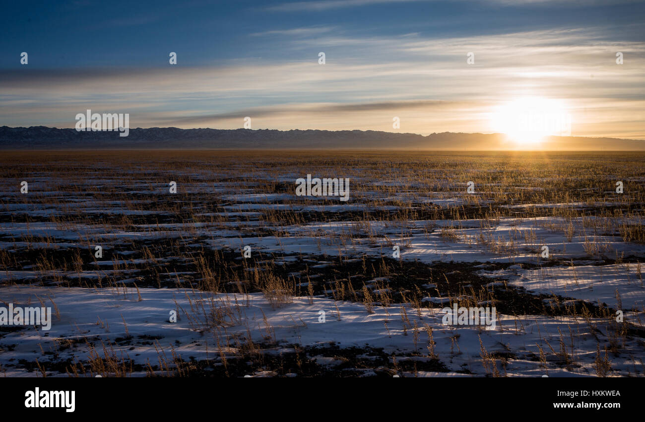 Sunset on the steppes of the Gobi Desert in Mongolia Stock Photo - Alamy