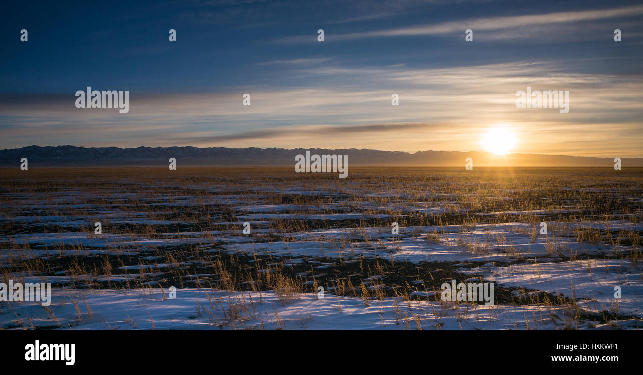 Sunset on the steppes of the Gobi Desert in Mongolia Stock Photo - Alamy