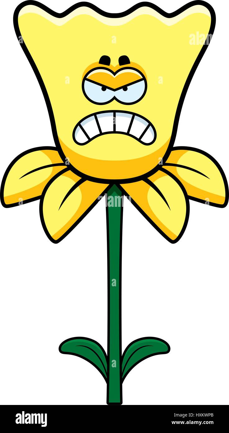 A cartoon illustration of a daffodil looking angry Stock Vector Image ...