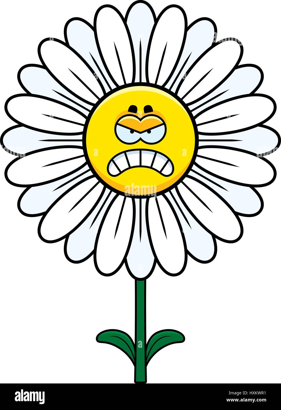 A cartoon illustration of a daisy looking angry Stock Vector Image ...