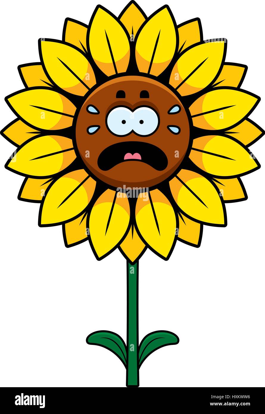 Scared flower hi-res stock photography and images - Alamy