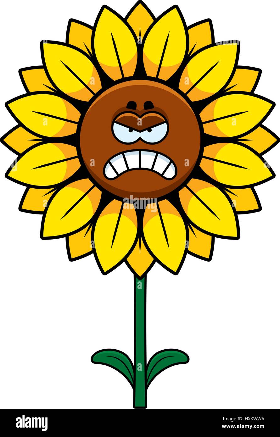 A cartoon illustration of a sunflower looking angry Stock Vector Image ...