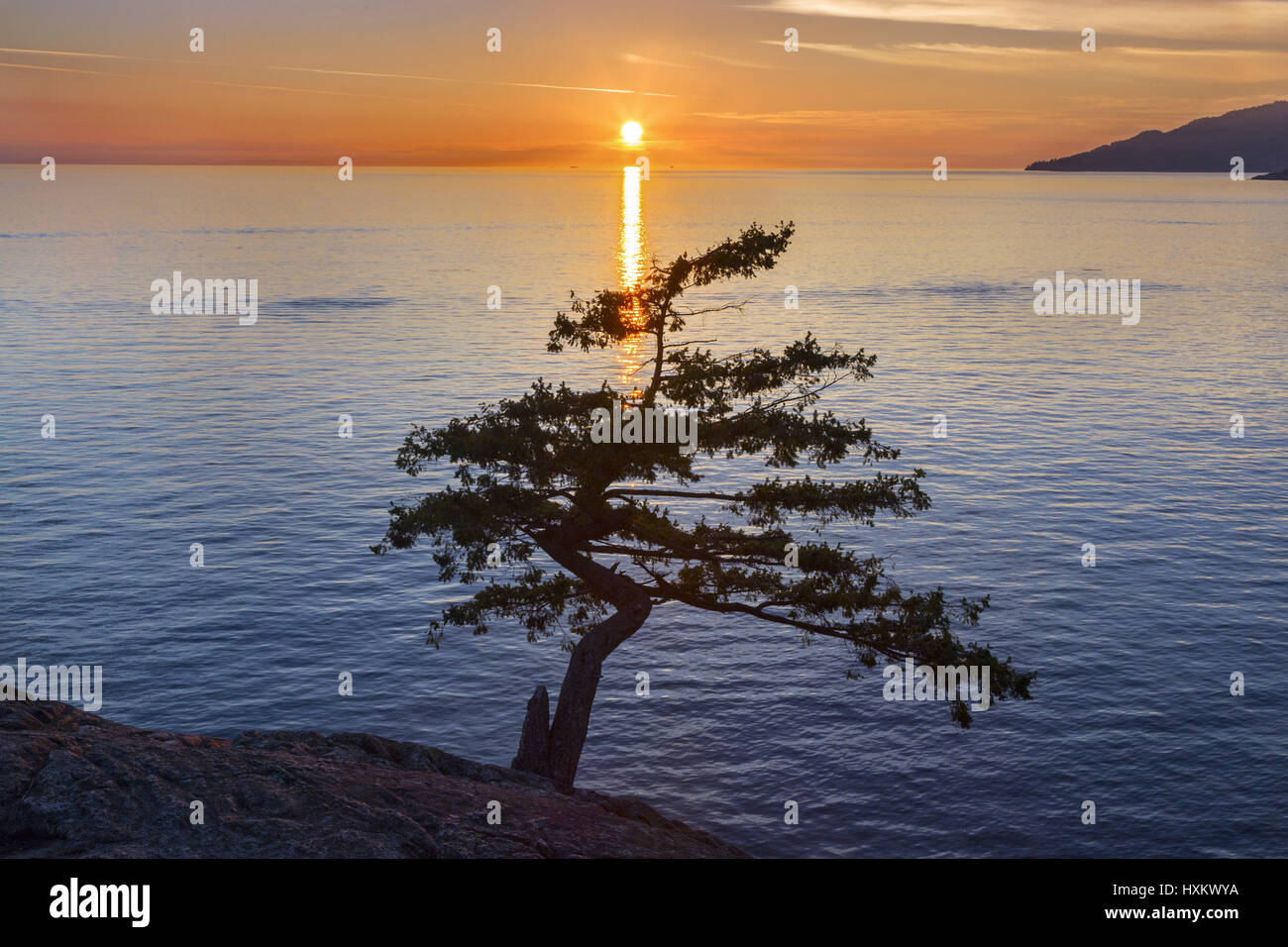 Juniper Tree Sunset High Resolution Stock Photography and Images - Alamy