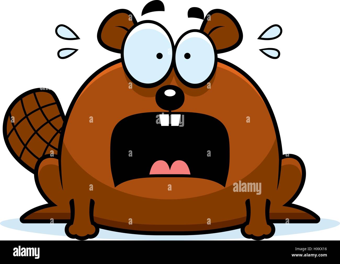 A cartoon illustration of a beaver looking terrified Stock Vector Image ...