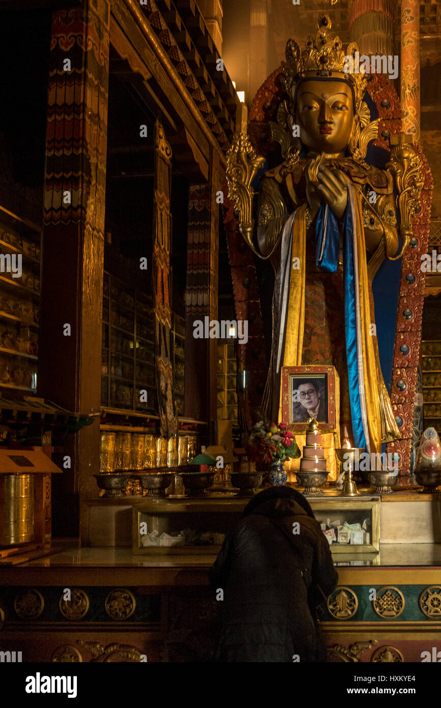 Morning chants and prayers at Buddhist Temple in Ulaanbaatar, Mongolia ...