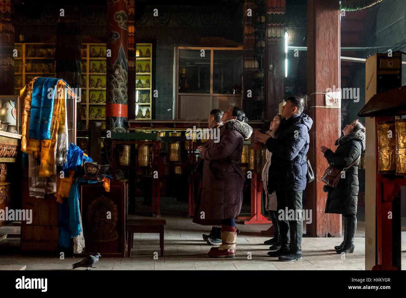 Morning chants and prayers at Buddhist Temple in Ulaanbaatar, Mongolia ...