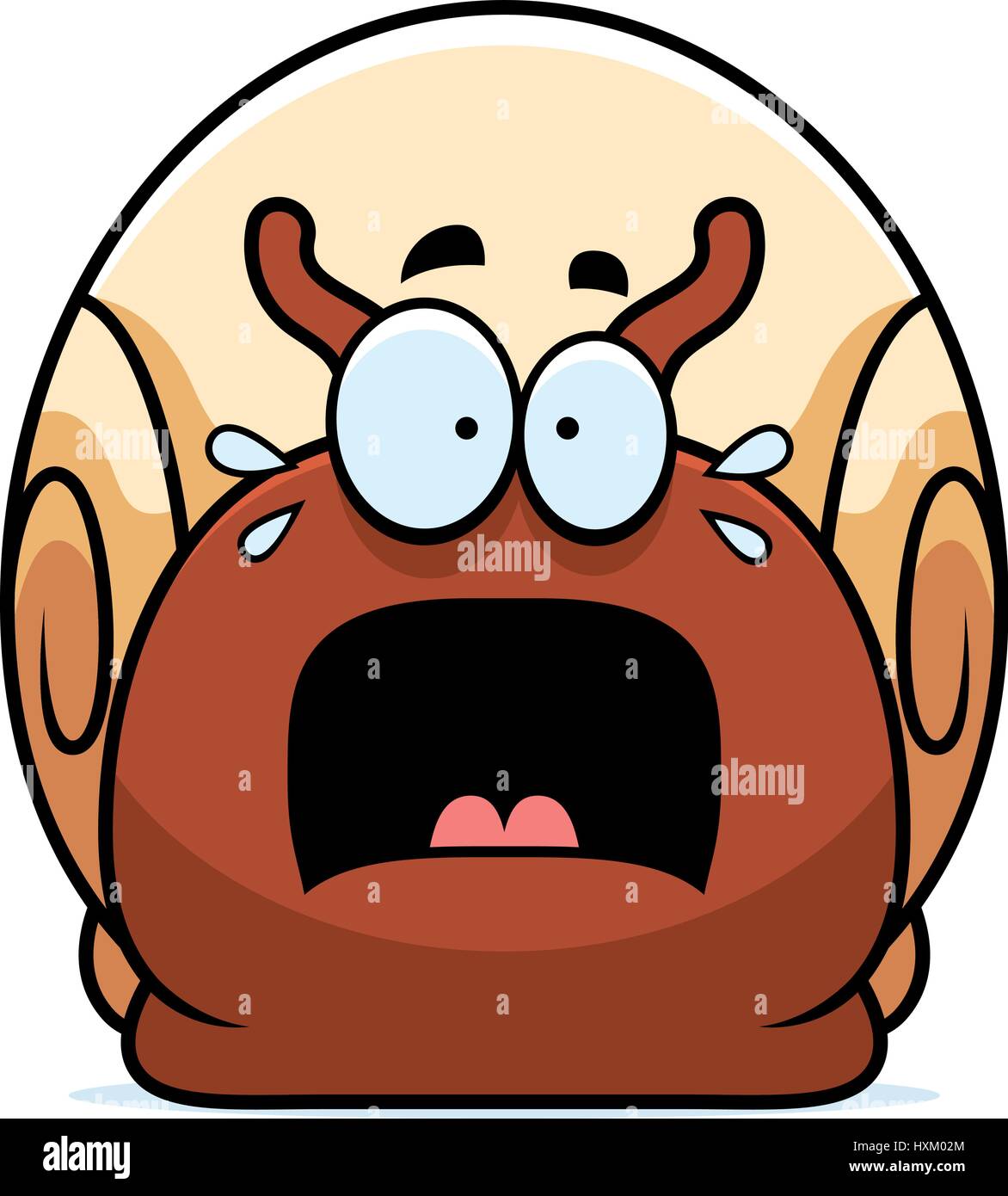 Scared Snail High Resolution Stock Photography and Images - Alamy