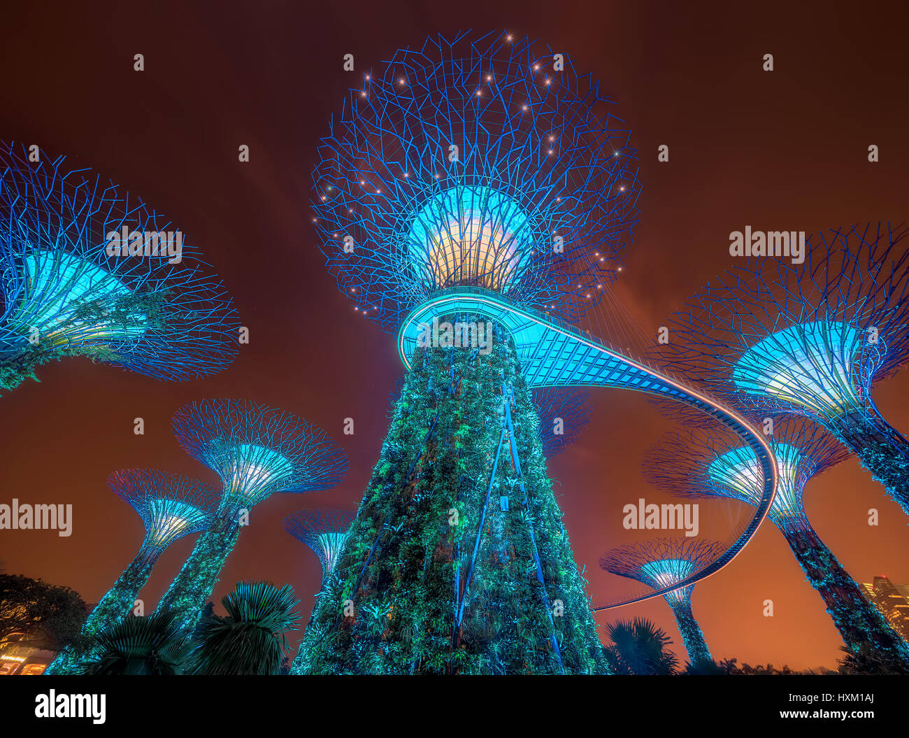 The Supertree, Singapore Stock Photo - Alamy