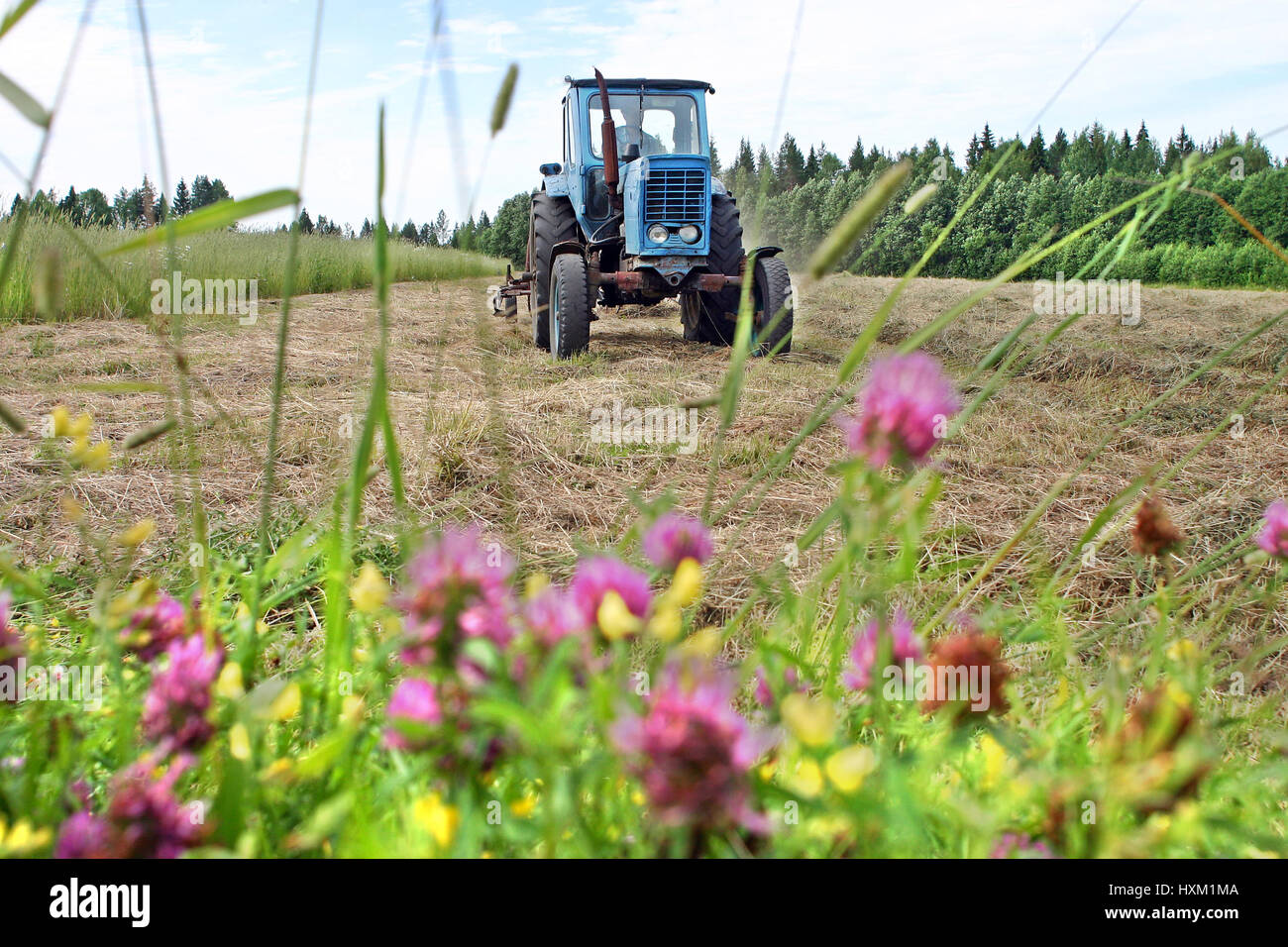 New mown hay hi-res stock photography and images - Alamy