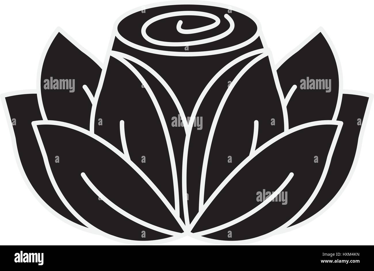 back contour beauty rose with petals plant Stock Vector Image & Art - Alamy