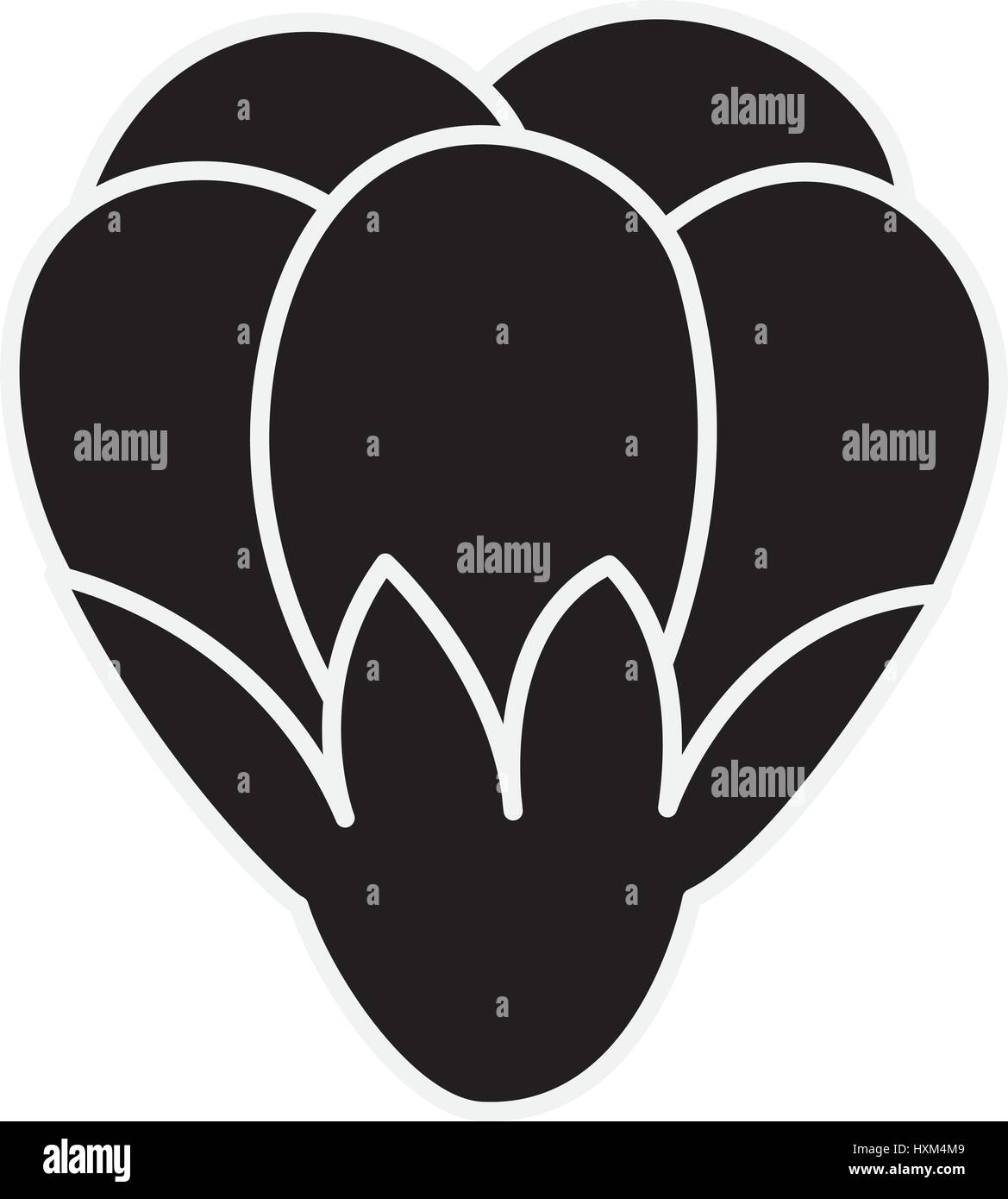 back contour beauty rose with petals plant Stock Vector Image & Art - Alamy