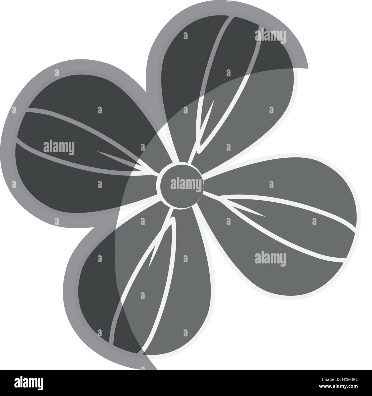 gray beauty flower decoration Stock Vector Image & Art - Alamy