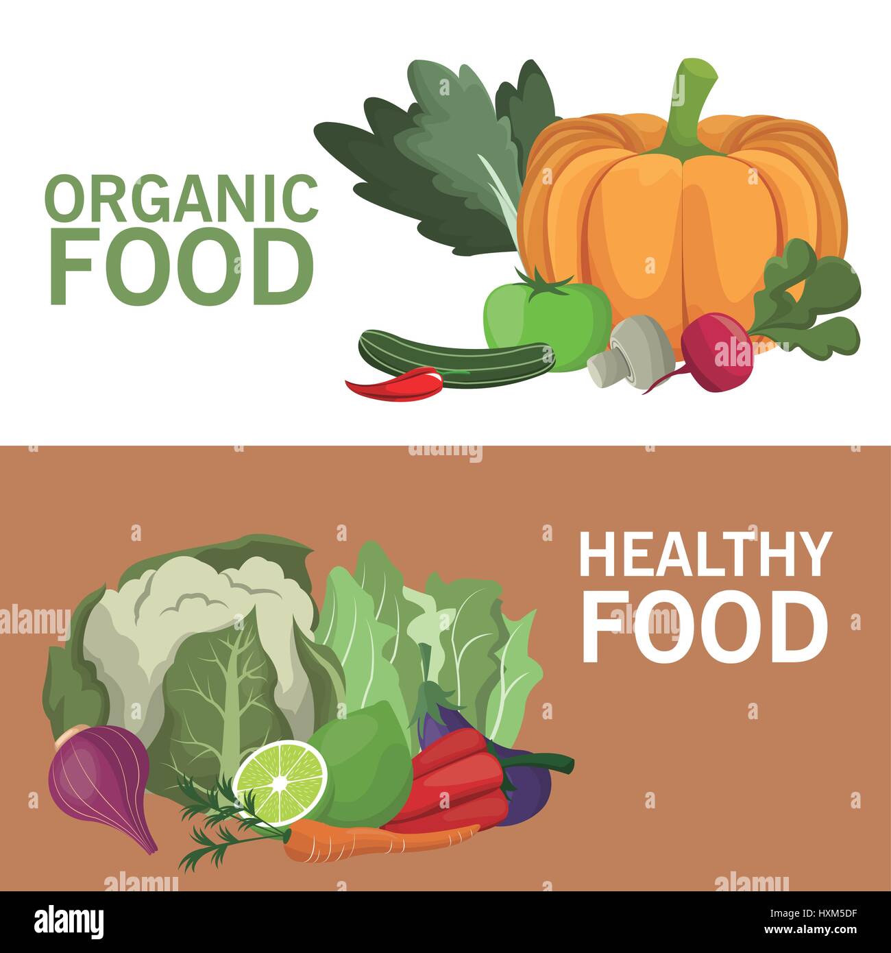 Healthy Food Brochure