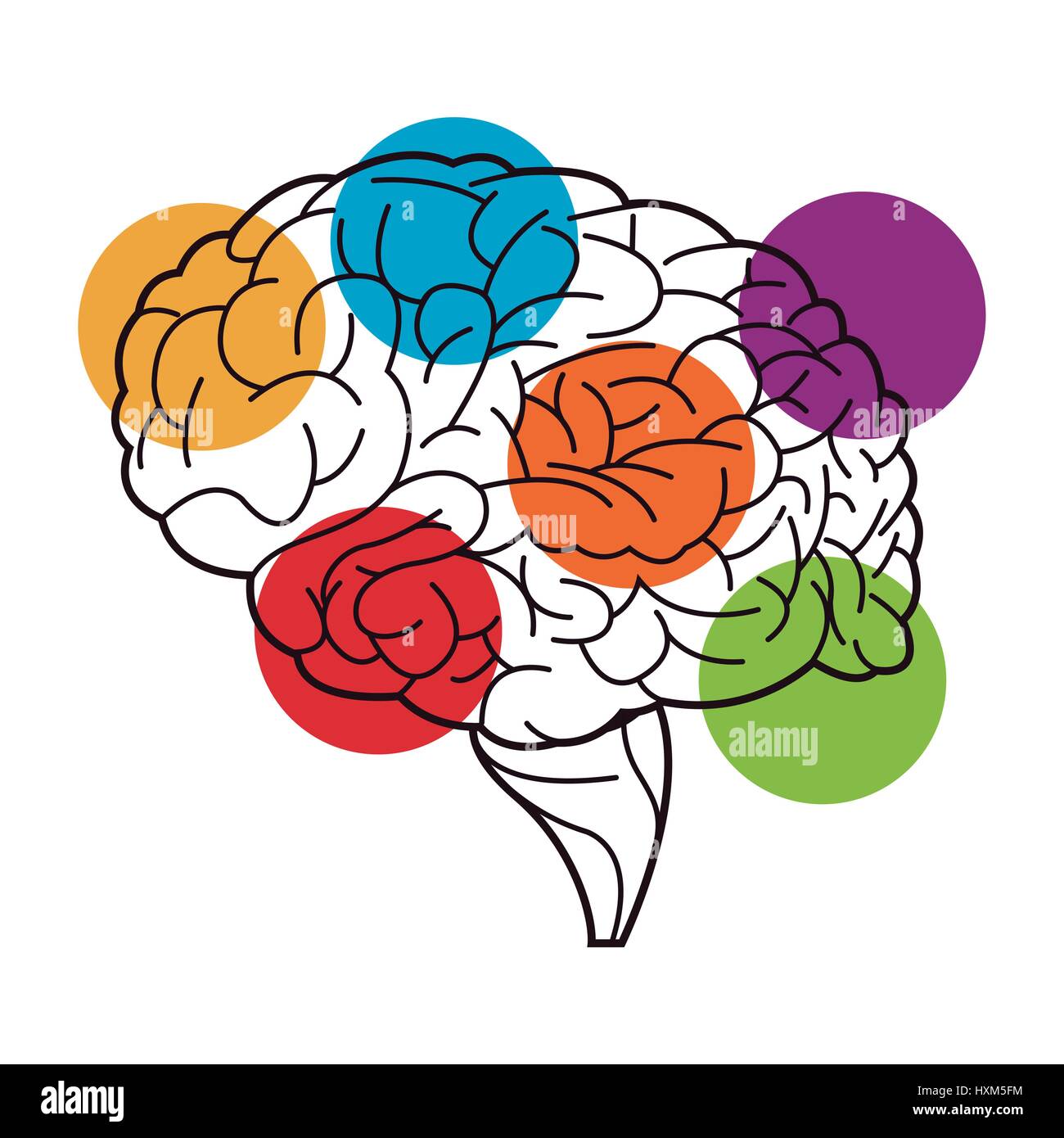 human brain process functions image Stock Vector Image & Art - Alamy