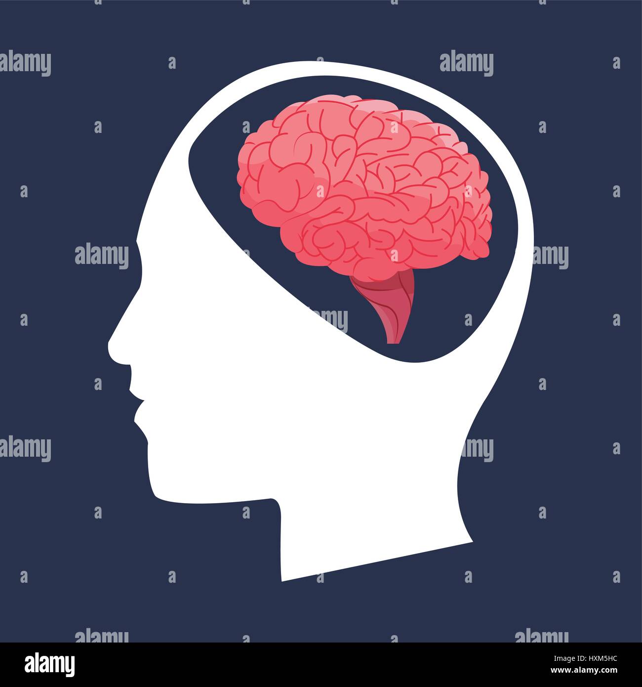 human head brain concept Stock Vector Image & Art - Alamy
