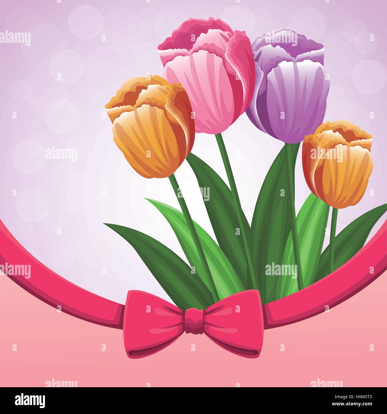 beauty tulips flower ribbon bow decorate Stock Vector Image & Art - Alamy