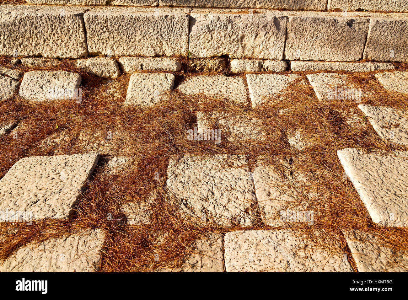 pine needles in arykanda antalya turkey asia and ruins Stock Photo - Alamy